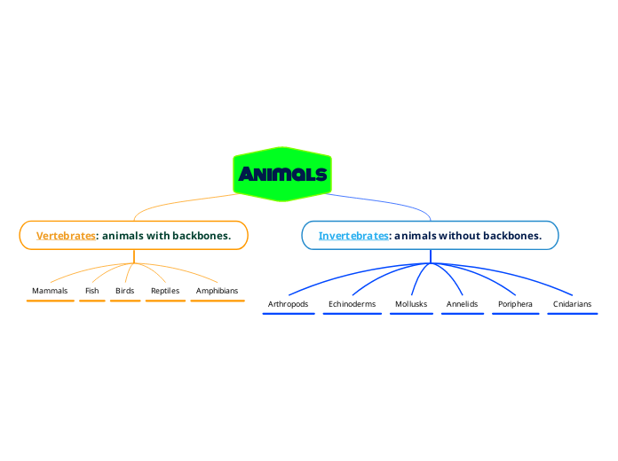 Animals - Mind Map